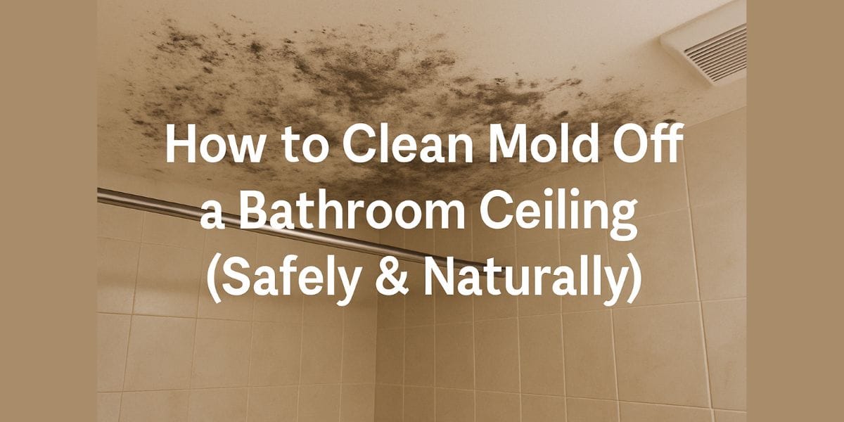 How to Clean Mold Off Bathroom Ceiling (Safely & Naturally)